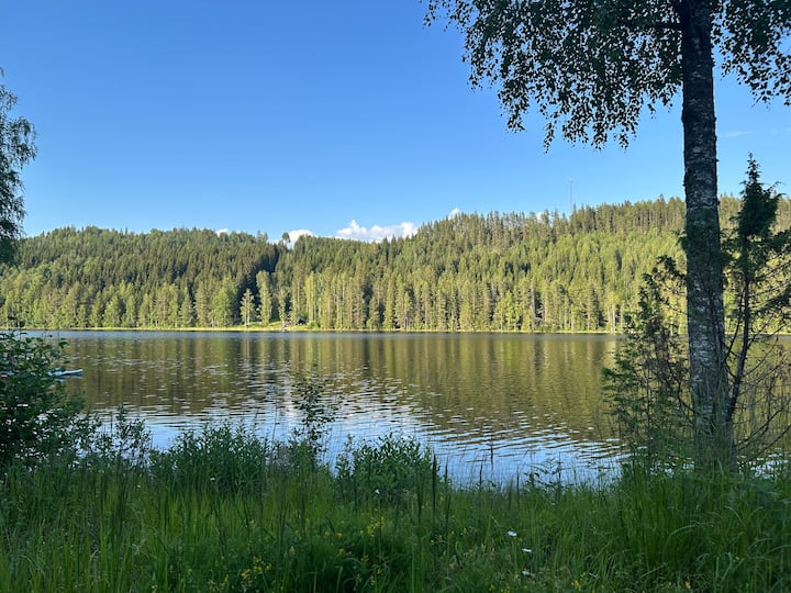 Roxy The Poksi With Lake View - Kontiolahti