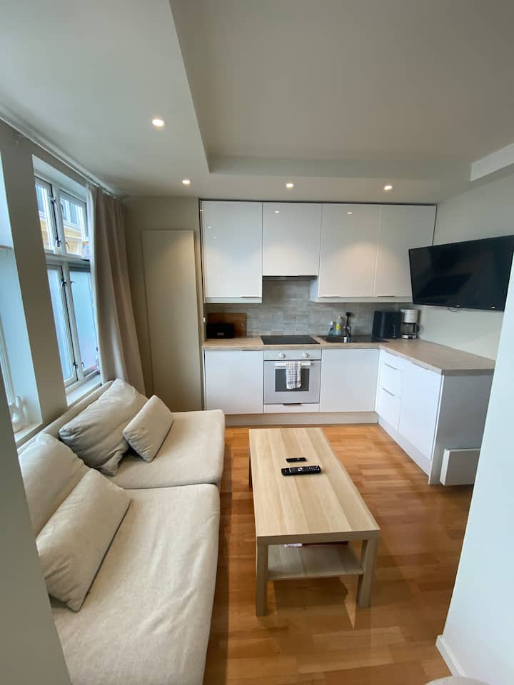 Sentral Studioleilighet Ved Bryggen - Bergen
