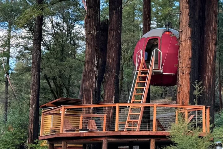 Suspended Tent In The Redwoods - Boulder Creek, CA