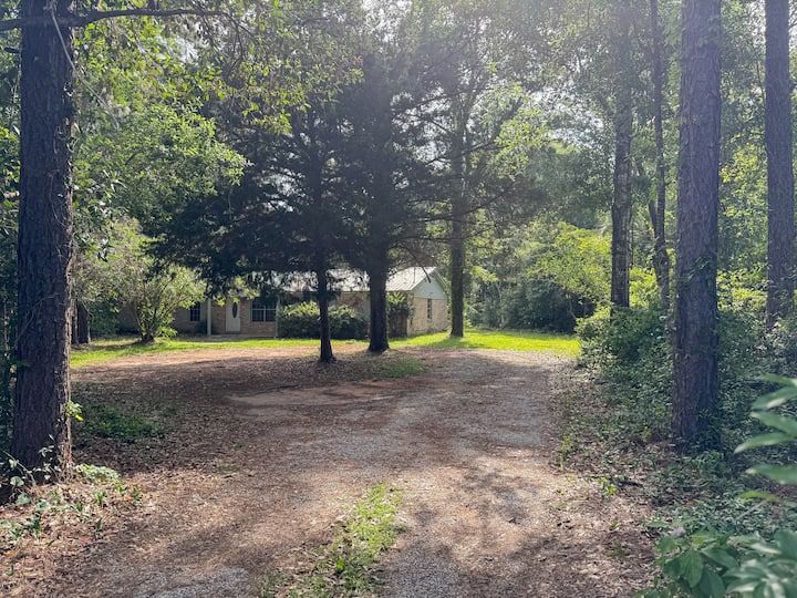 The Obsidian Shore - Foley, AL