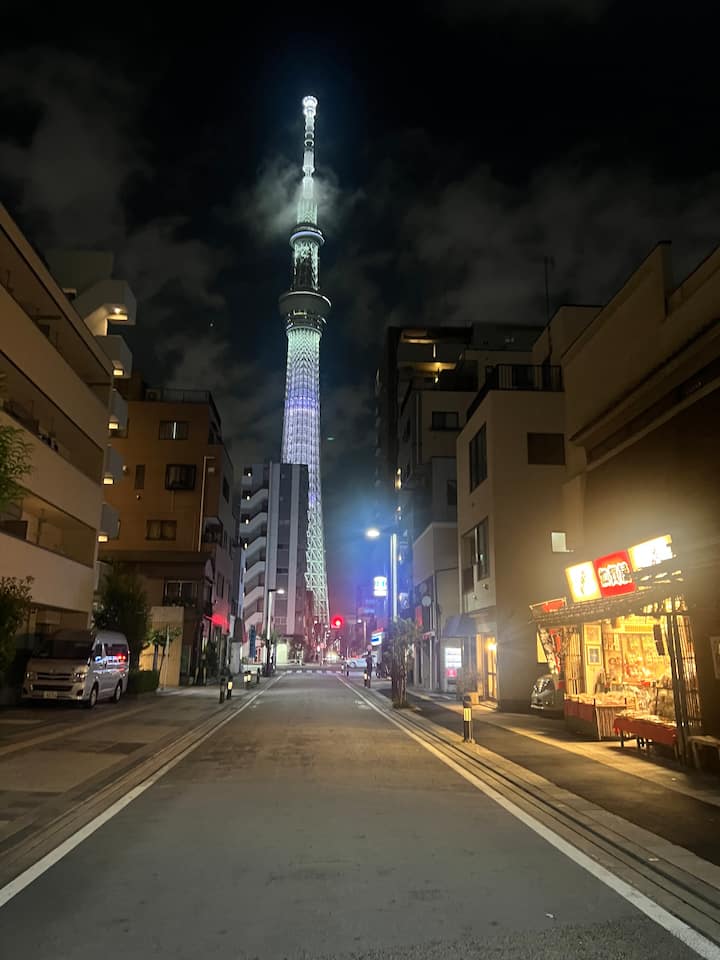 スカイツリー/浅草1.8km/両国1駅/空港•渋谷•新宿•秋葉原直通/シモンズ採用/エレベーター有 - Akihabara