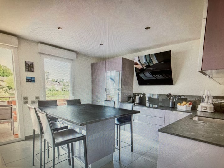 Appartement Spacieux Avec Terrasse - Seynod - Annecy