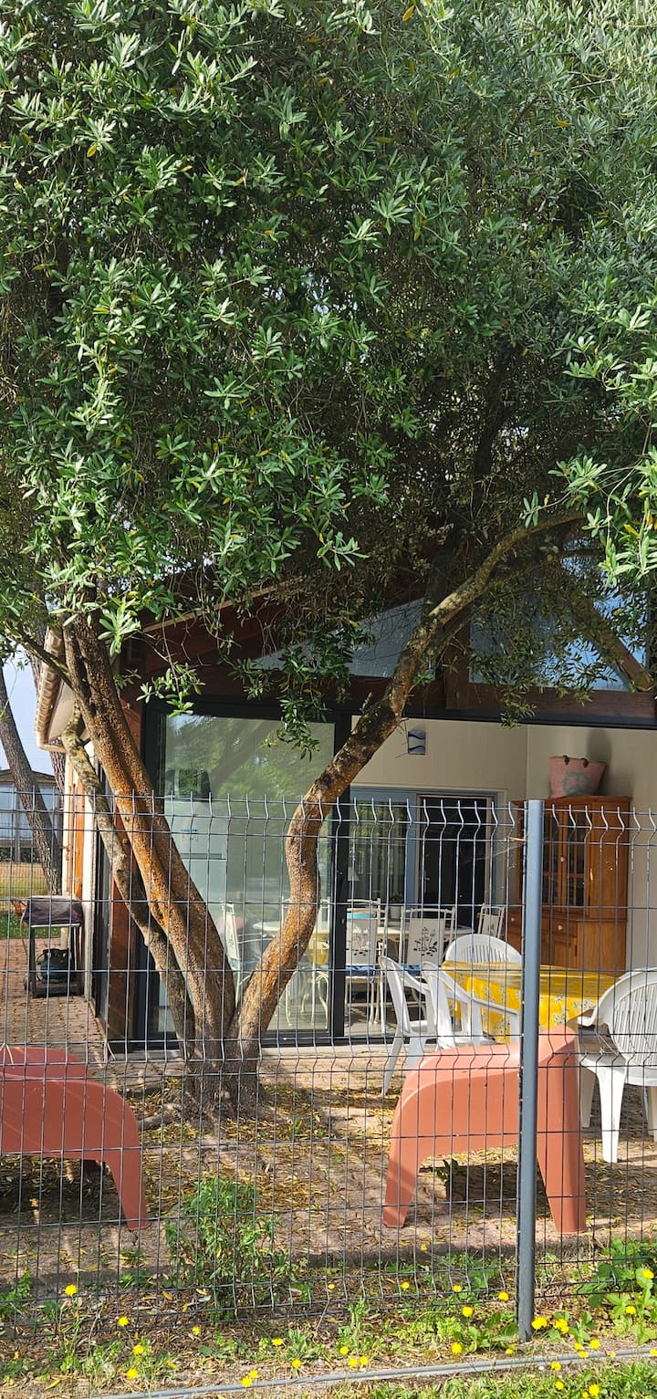 à Louer Maison 6 Pers 3 Ch - Gujan-Mestras