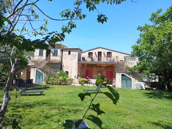 Camera 1 - Zambrone