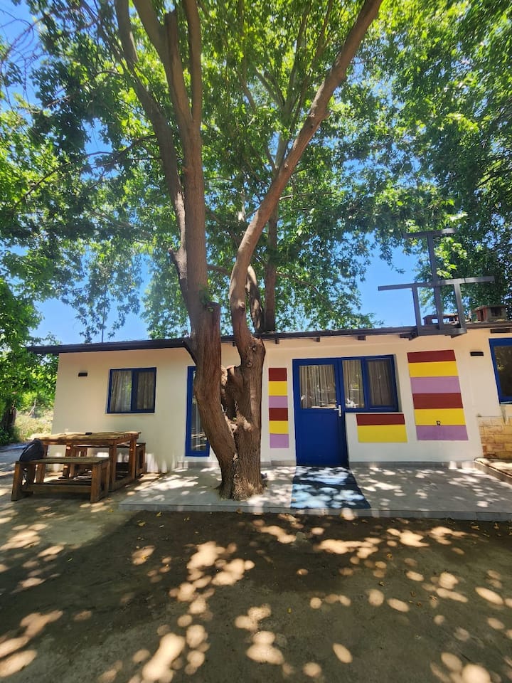 Accommodation Near The  Ephesus - Şirince