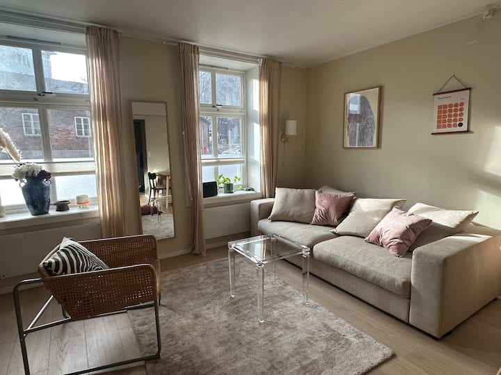 City Centre Stylish Apartment - Oslo
