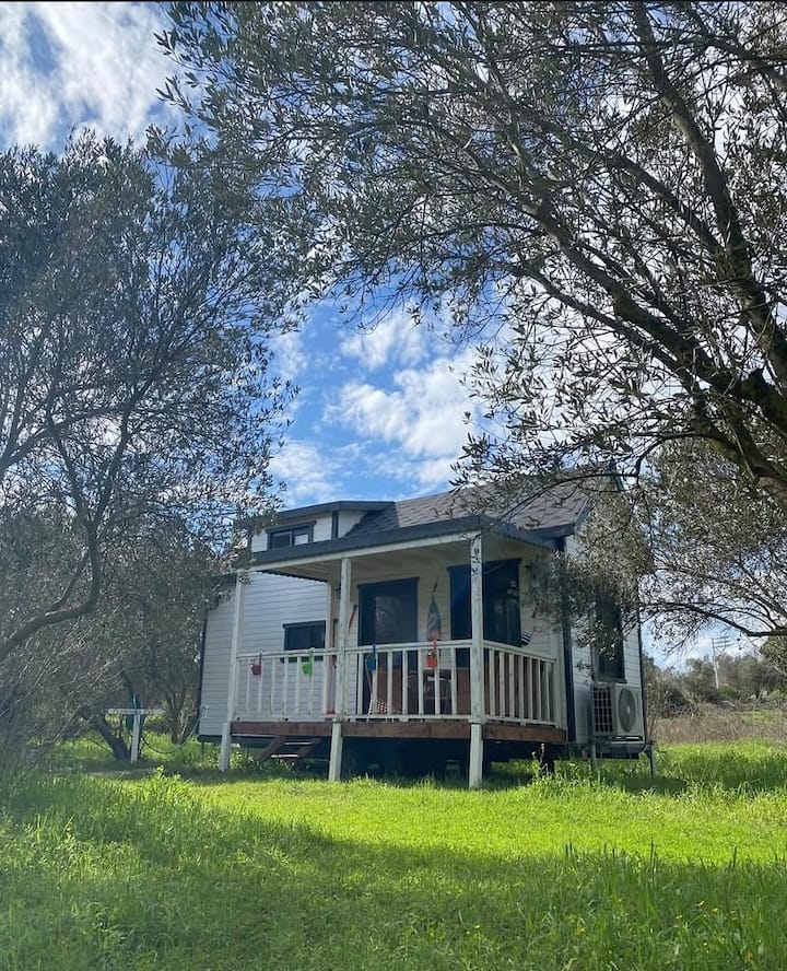 Urla Flamingo Evi / Klima / Tv / Wi-fi / ŞöMine - Urla