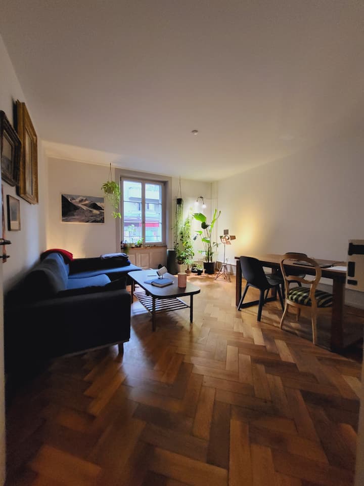 Altbau Mit Gemütlichem Garten - Bern