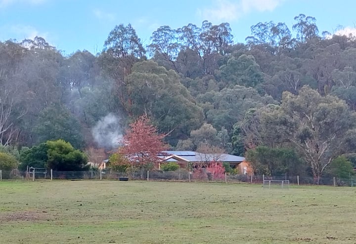 Above The Mist Dexters - Kinglake