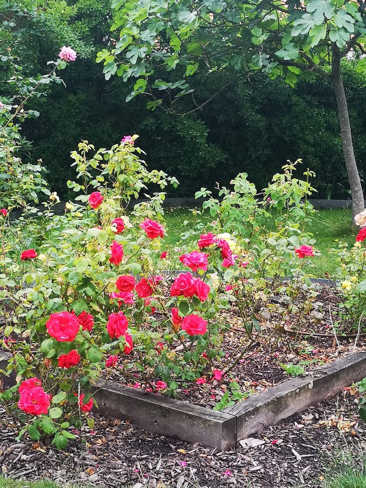 Chambre D'hôtes - Basse-Goulaine