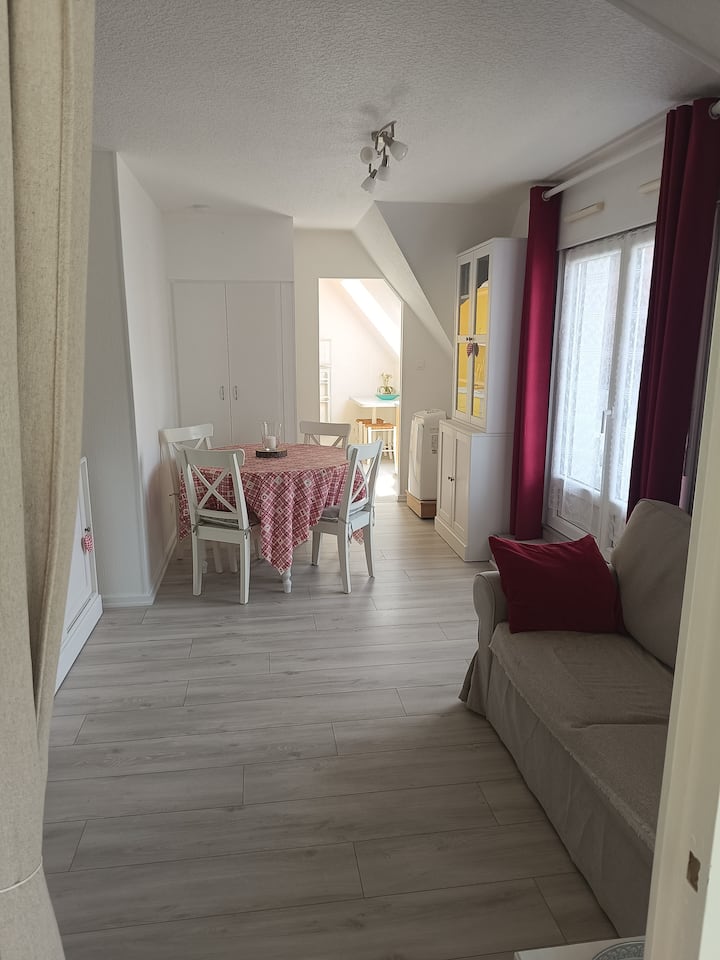 Appartement Centre-ville Parking - Colmar