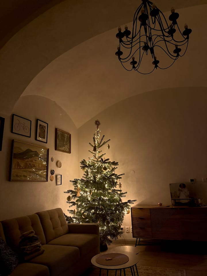 Top Location Apartment In The Centre Of  Old Town - Koszyce