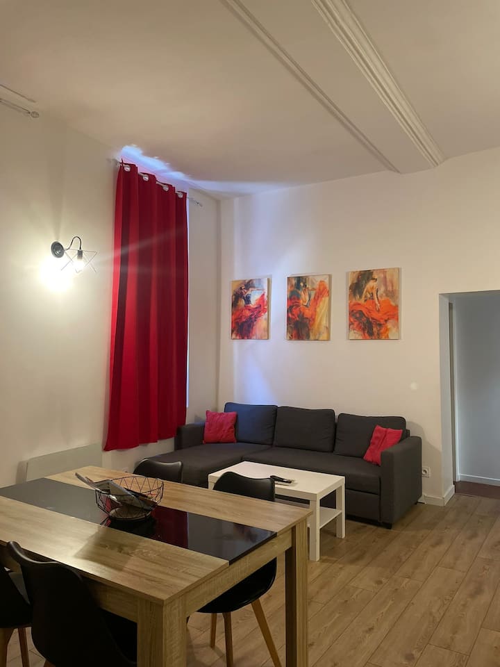 Appartement Picasso Coeur Historique Perpignan - Perpignan