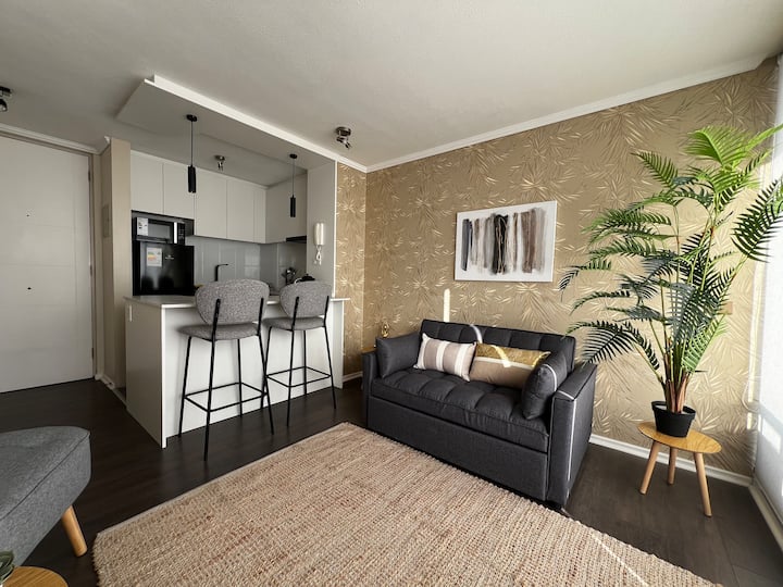 Espectacular Vista Preciosa - Santiago (Chile)