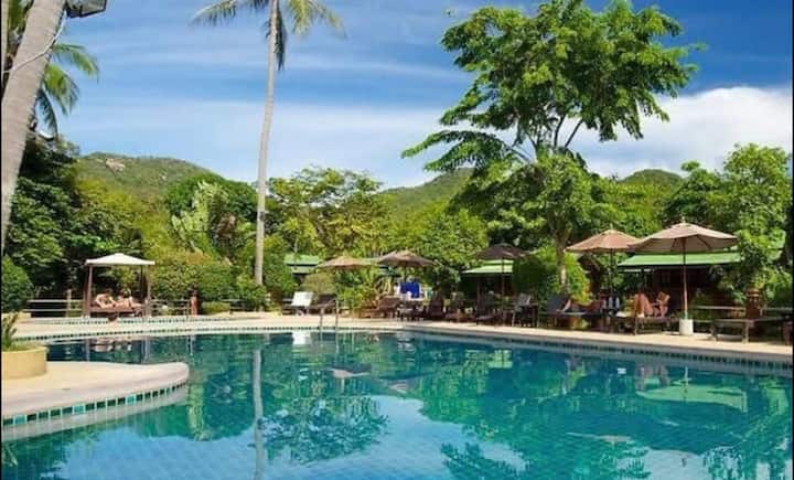 Lt Koh Tao Eco Sairee - Ko Tao