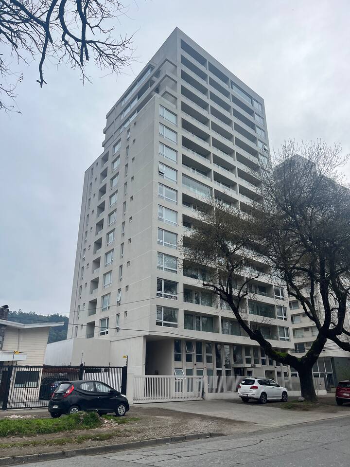 Pollohouse - Concepción, Chile