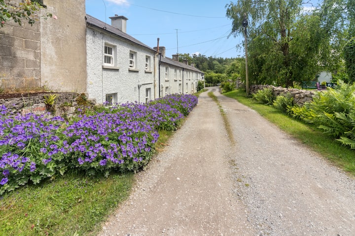 Traditional Terraced Cottage - Navan