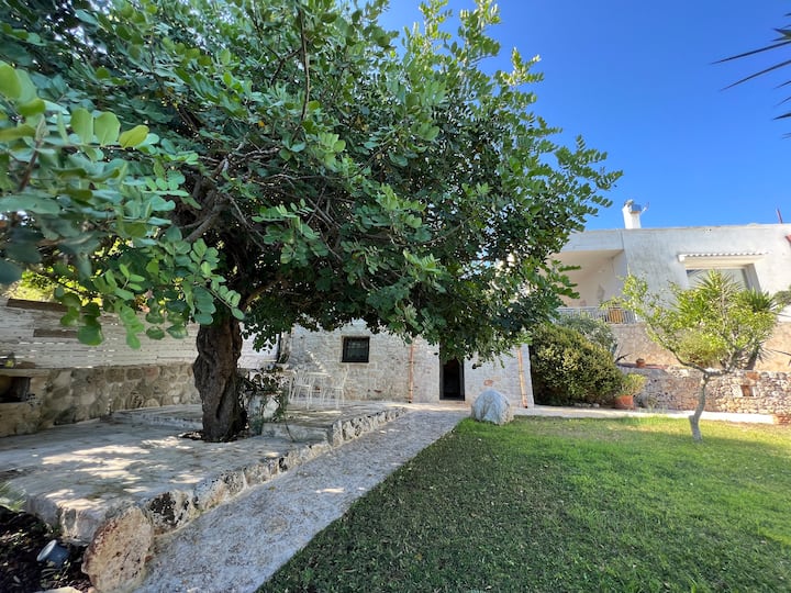 Rifugio In Pietra A Villa Tala - Ostuni