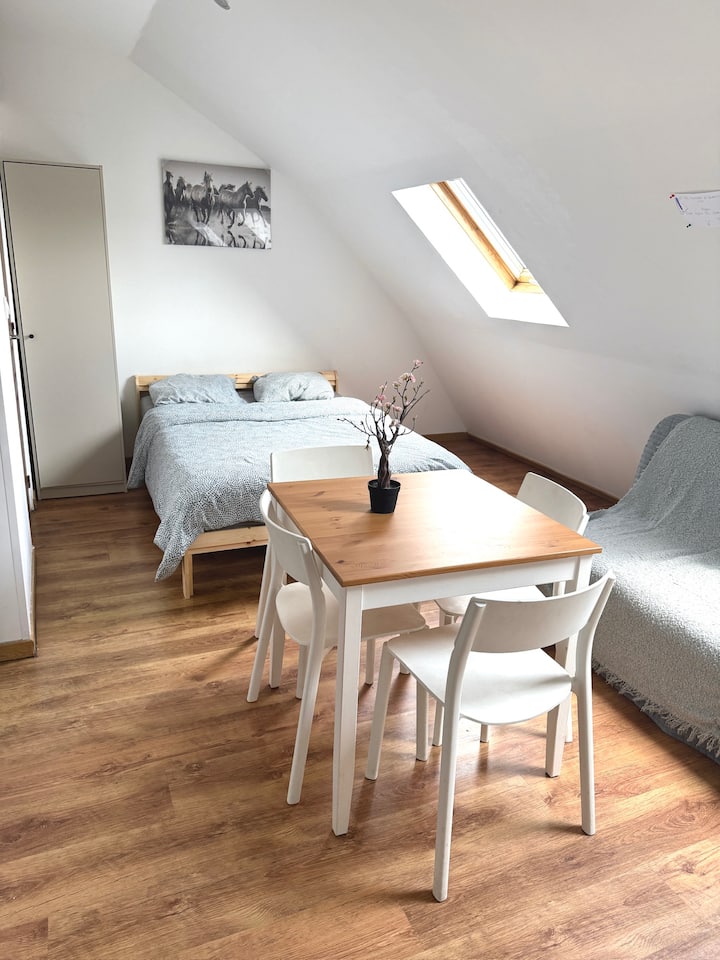 Au Cœur De Paris - Quartier Latin - Saint Michel - Paris