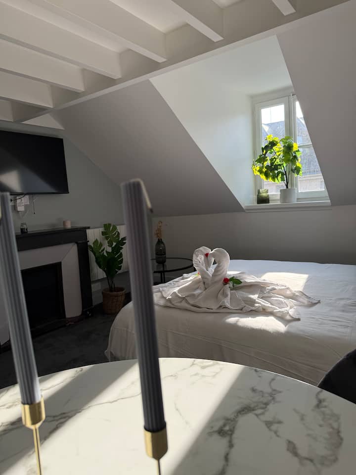 Belle Appartement Avec Mezzanine - Versailles