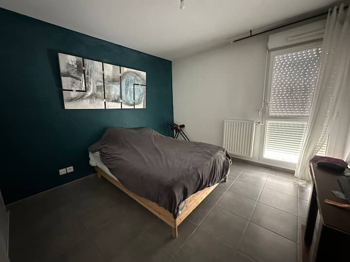 Appartement T3 Villeurbanne - Villeurbanne