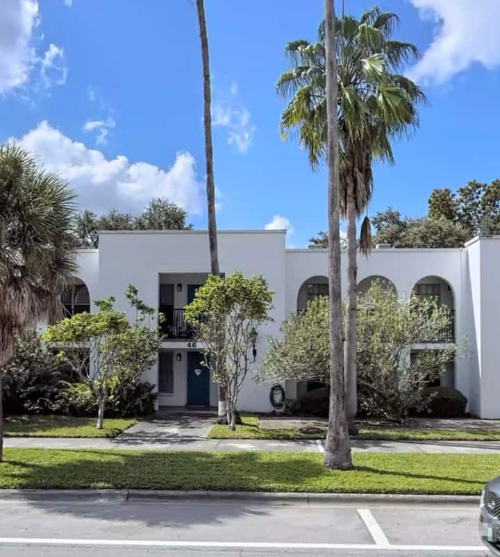 Island Apartment - Davis Islands, FL