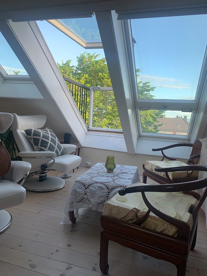 Stor Loftsleilighet - Sentralt - Trondheim