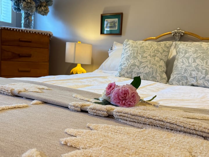 Super One-bedroom One Bath - White Rock