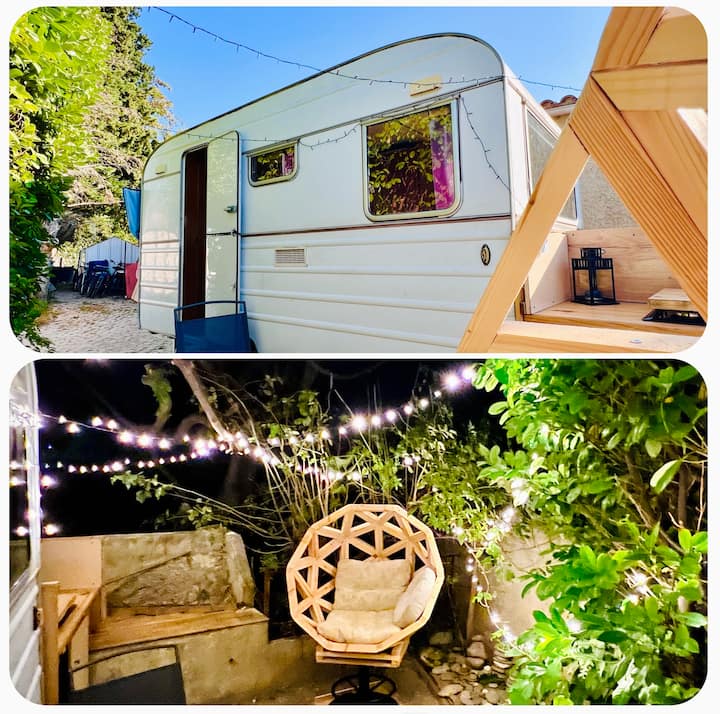 Le Nid Intemporel - Le Thor