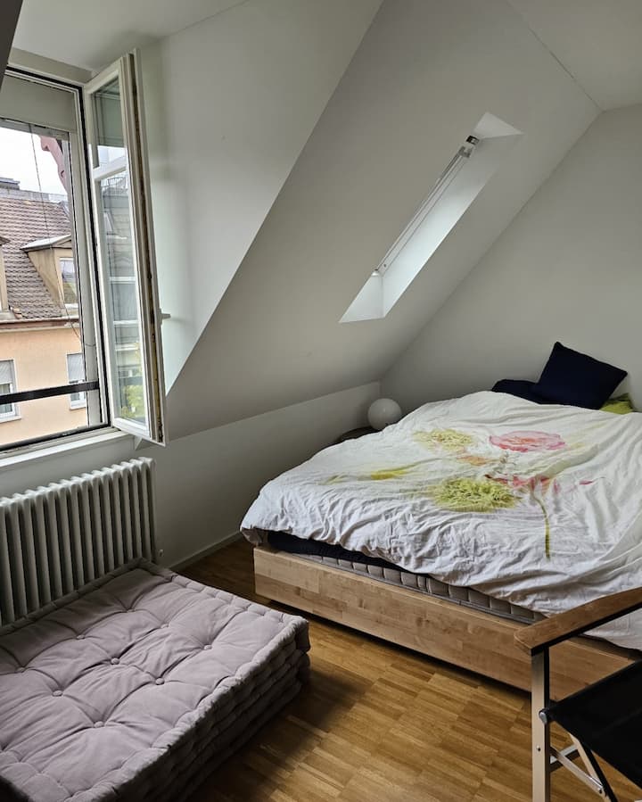 Centre Of Zurich Studio Flat - Zurich