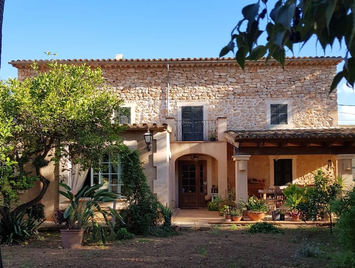 A Jewel In The Mediterranean - Palma de Majorque