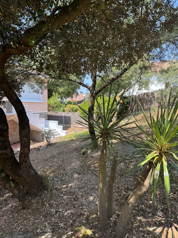 Grande Villa
À 2 Pas  De La Plage Et Du Centre - Saint-Brevin-les-Pins