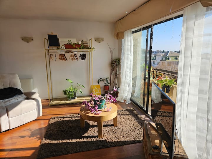 Acogedor, Soleado Y Gran Vista - Viña del Mar