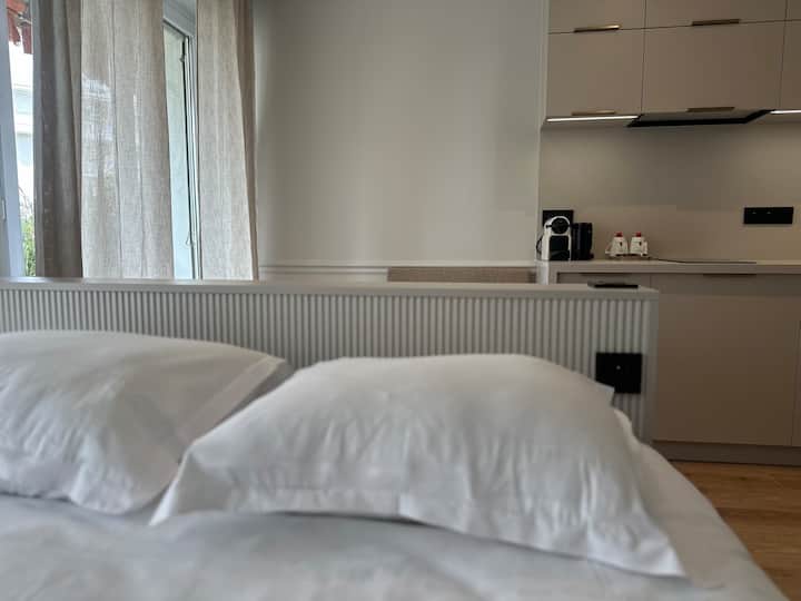 Duo Business Suites Proche Lac - Annecy