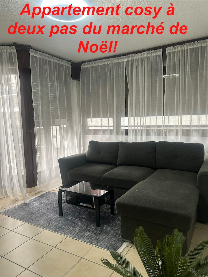 Studio Cosy à 2 Pas Du Lac Léman - Évian-les-Bains