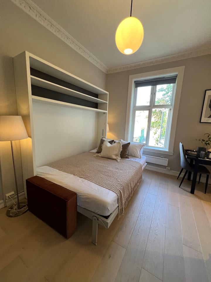 Cozy Studio Apt In Central Oslo - Oslo