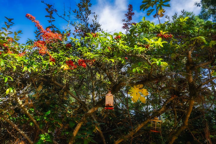 Pavillon 2ch à 1.5km De L'océan - Piscine Partagée - Lacanau Océan