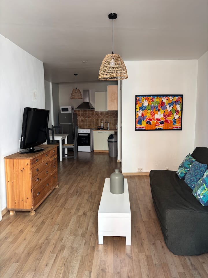 Appartement - Vaison-la-Romaine