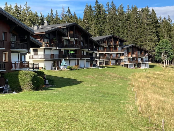 Studio Ds Chalet Près Des Pistes  N Damebellecombe - Notre-Dame-de-Bellecombe