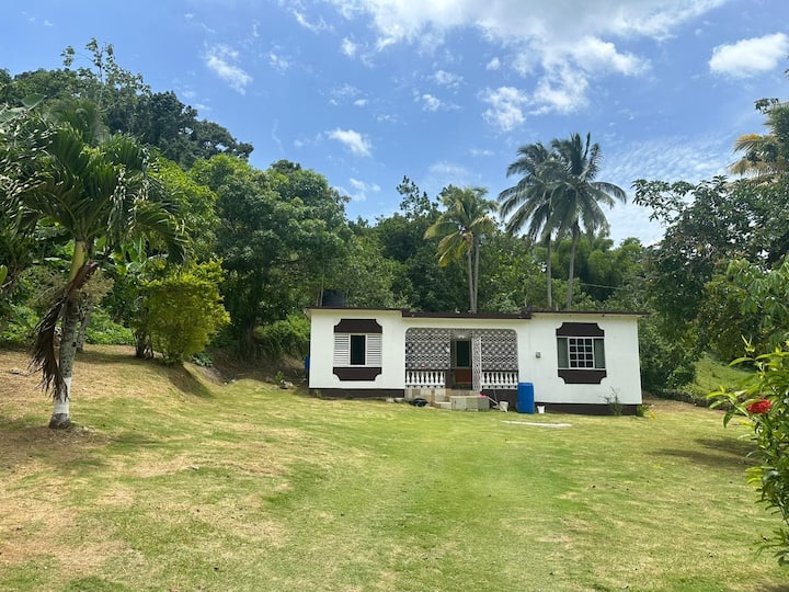 Maison Moderne En Montagne - Jamaica