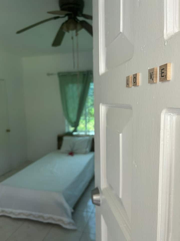 Maison Moderne En Montagne - Jamajka