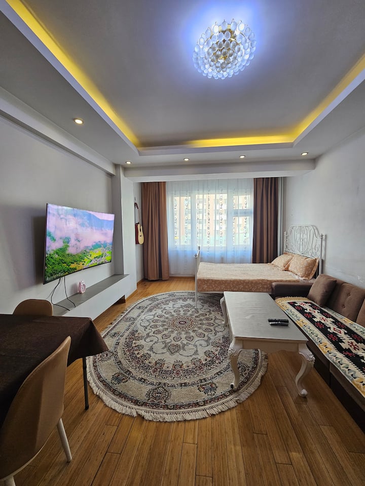 Cozy Studio Appartment - Ulaanbaatar