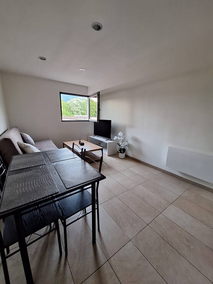 Appartement 50 M 2 - Bonneville
