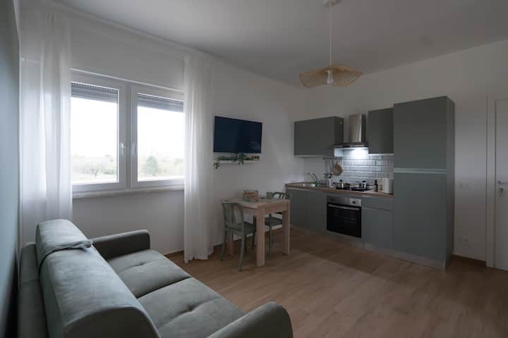 Casa Di Viola-ortensia - Latina