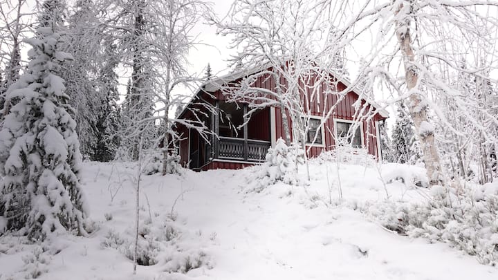 Chalet Cossu En Forêt Suédoise - Suède