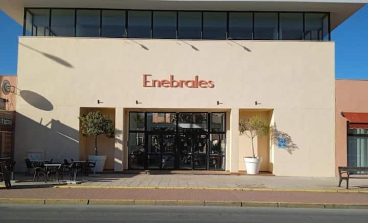 Enebral 341 - Punta Umbría