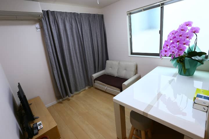 北池袋独栋全新别墅，车站步行9分 - Ikebukuro