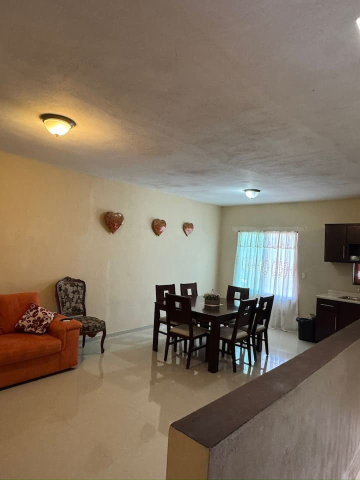 Gran Departamento Zona Centro. - San Francisco del Rincón