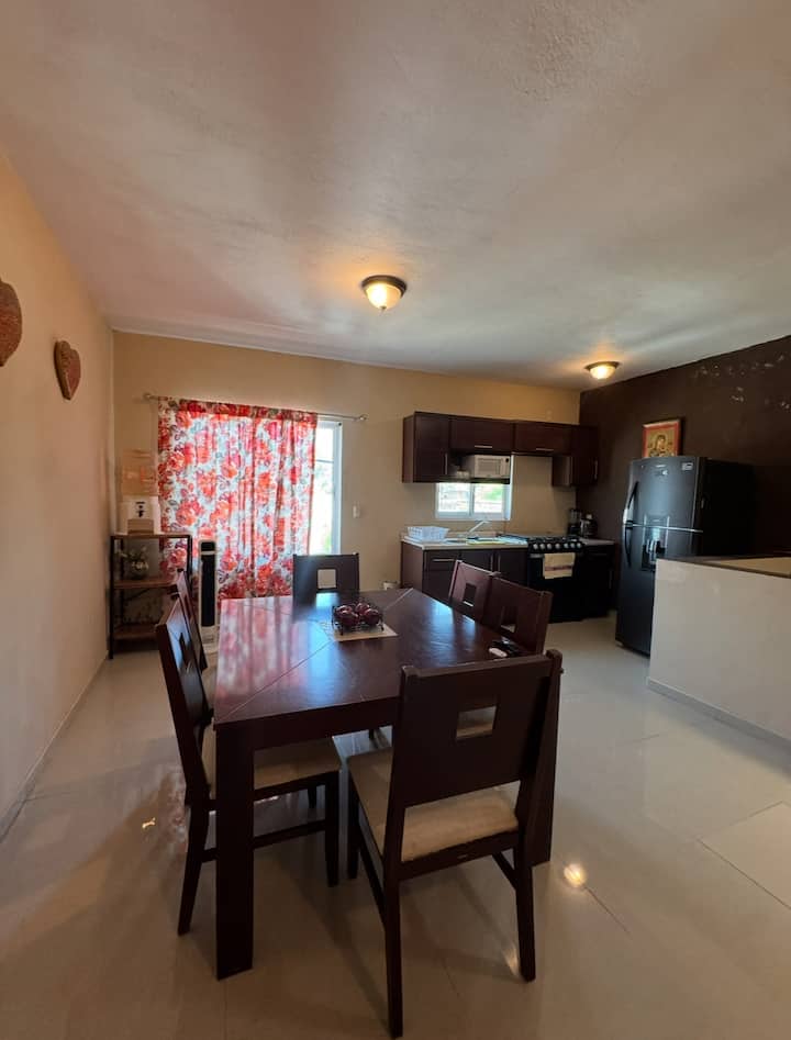 Gran Departamento Zona Centro. - San Francisco del Rincón