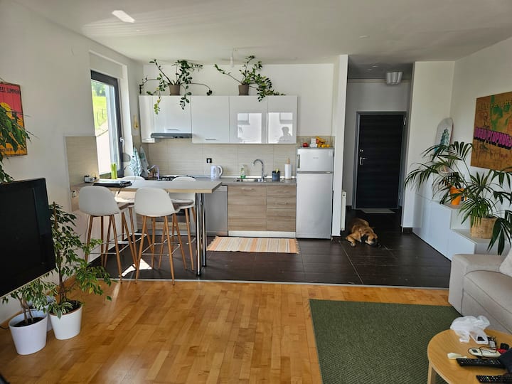 Looks Chic Apartment - Zagabria